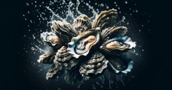 Unlock the Secrets: How Do Oysters Reproduce? - T.L. Morris Seafood